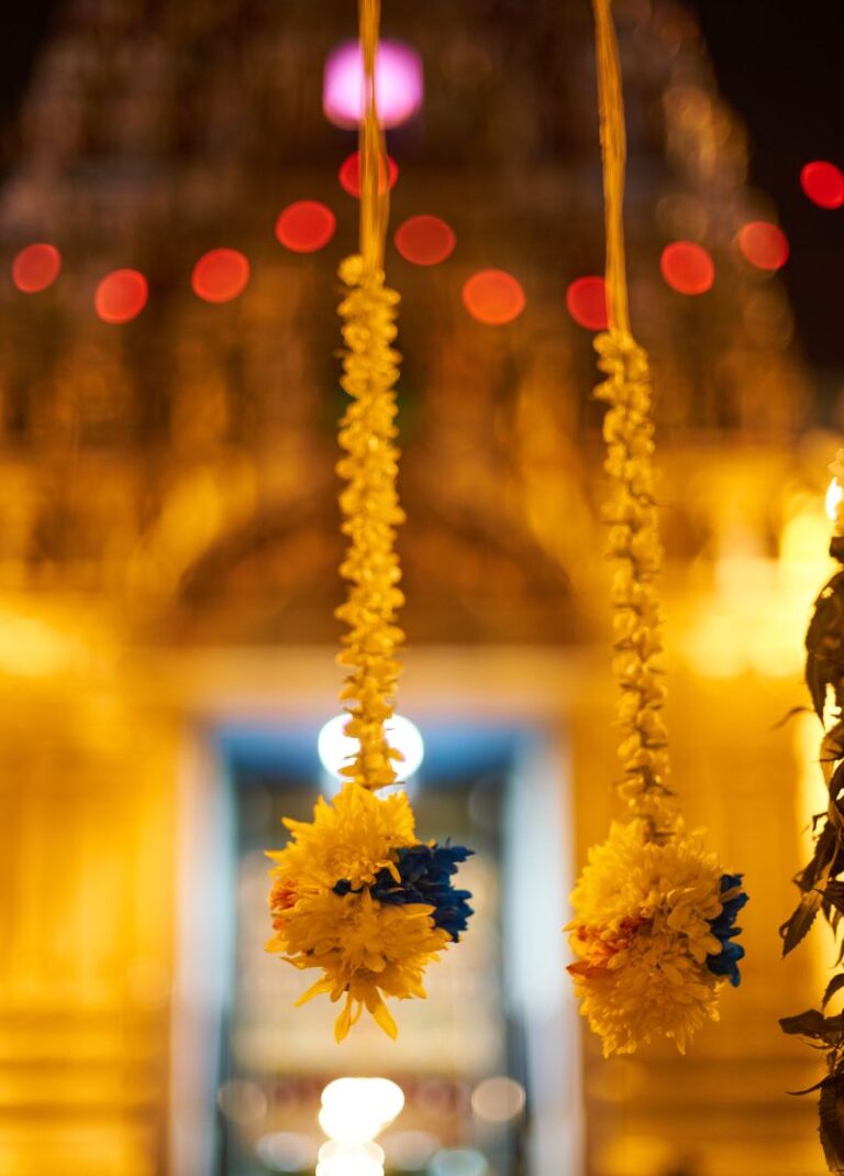 ZANA Forest Resort, Ranthambore - Zana Resorts