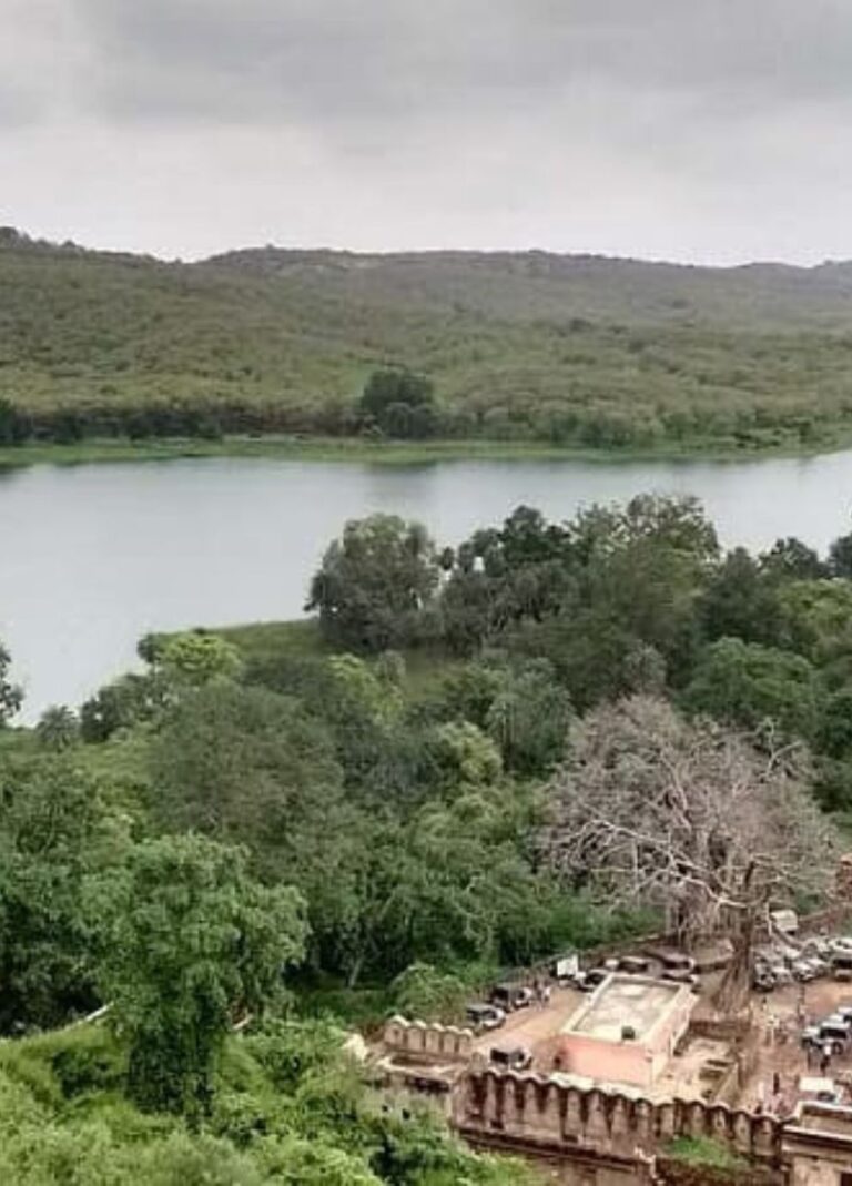 ZANA Forest Resort, Ranthambore - Zana Resorts