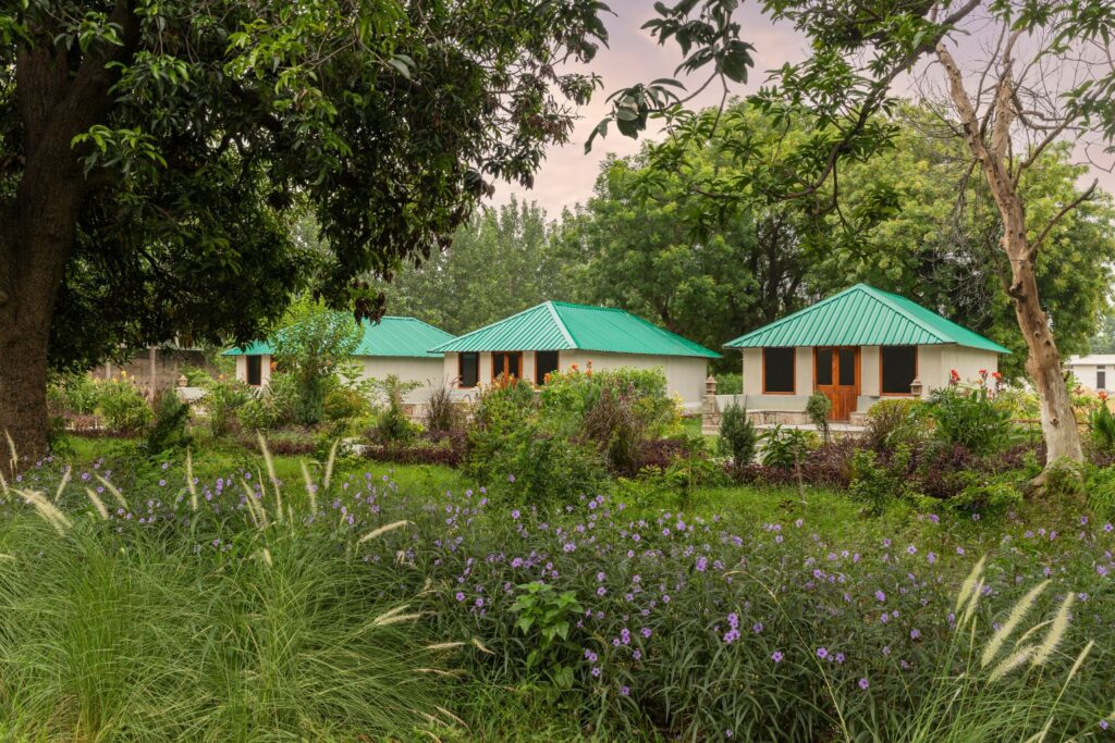ZANA Forest Resort, Ranthambore - Zana Resorts